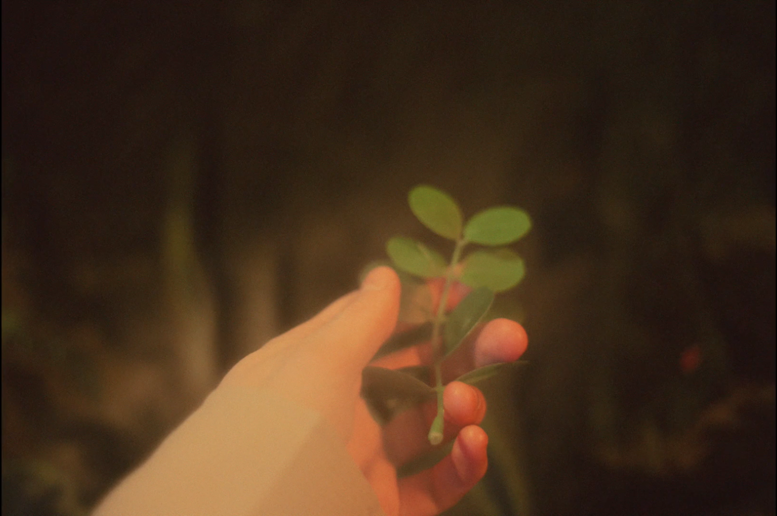 Stop Motion Animation: With Humans!